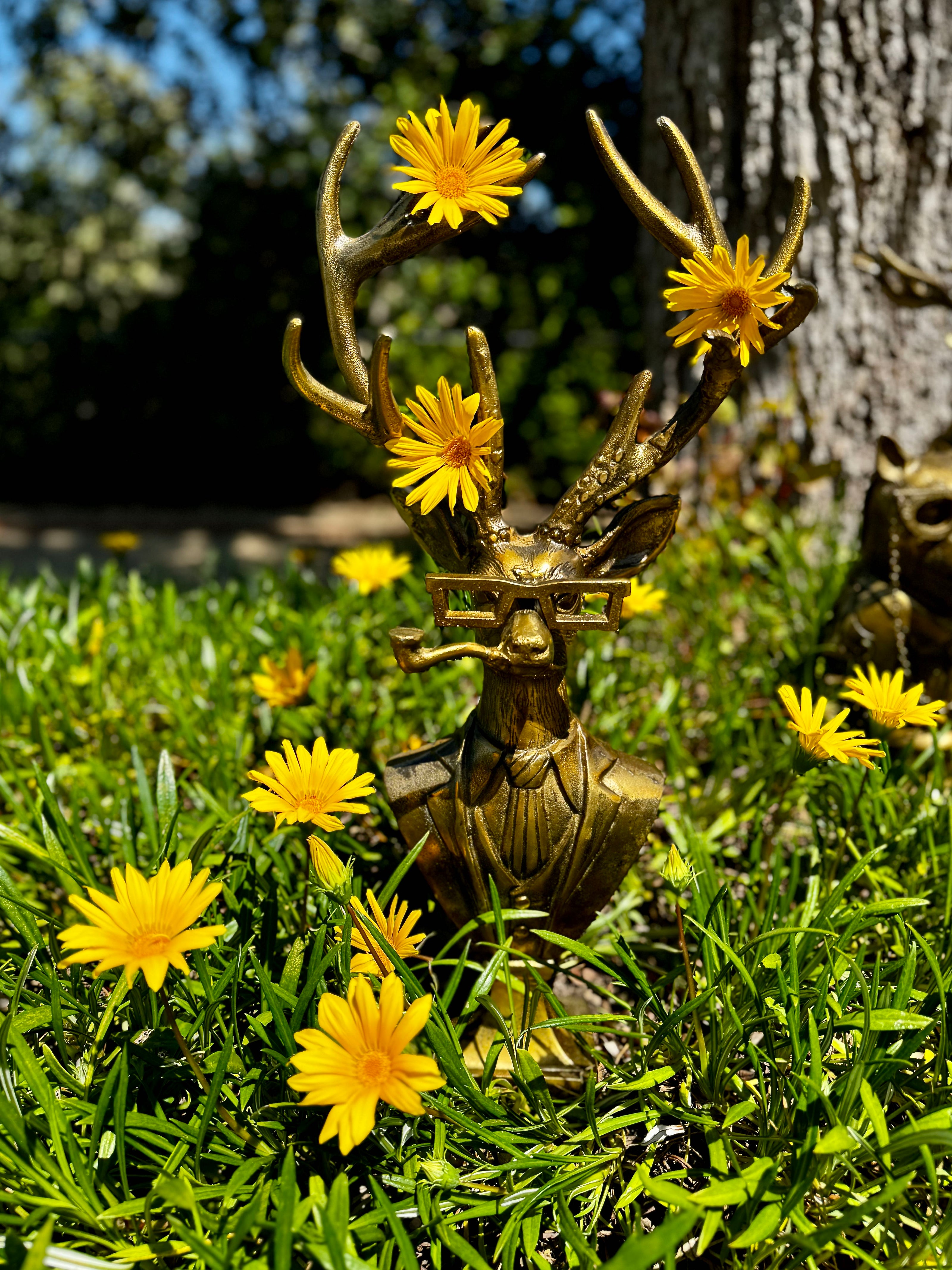 Frankie The Stag Bust – Thomas Lee Living