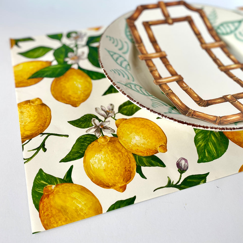 Lemons Placemats - Pack of 18 – Thomas Lee Living