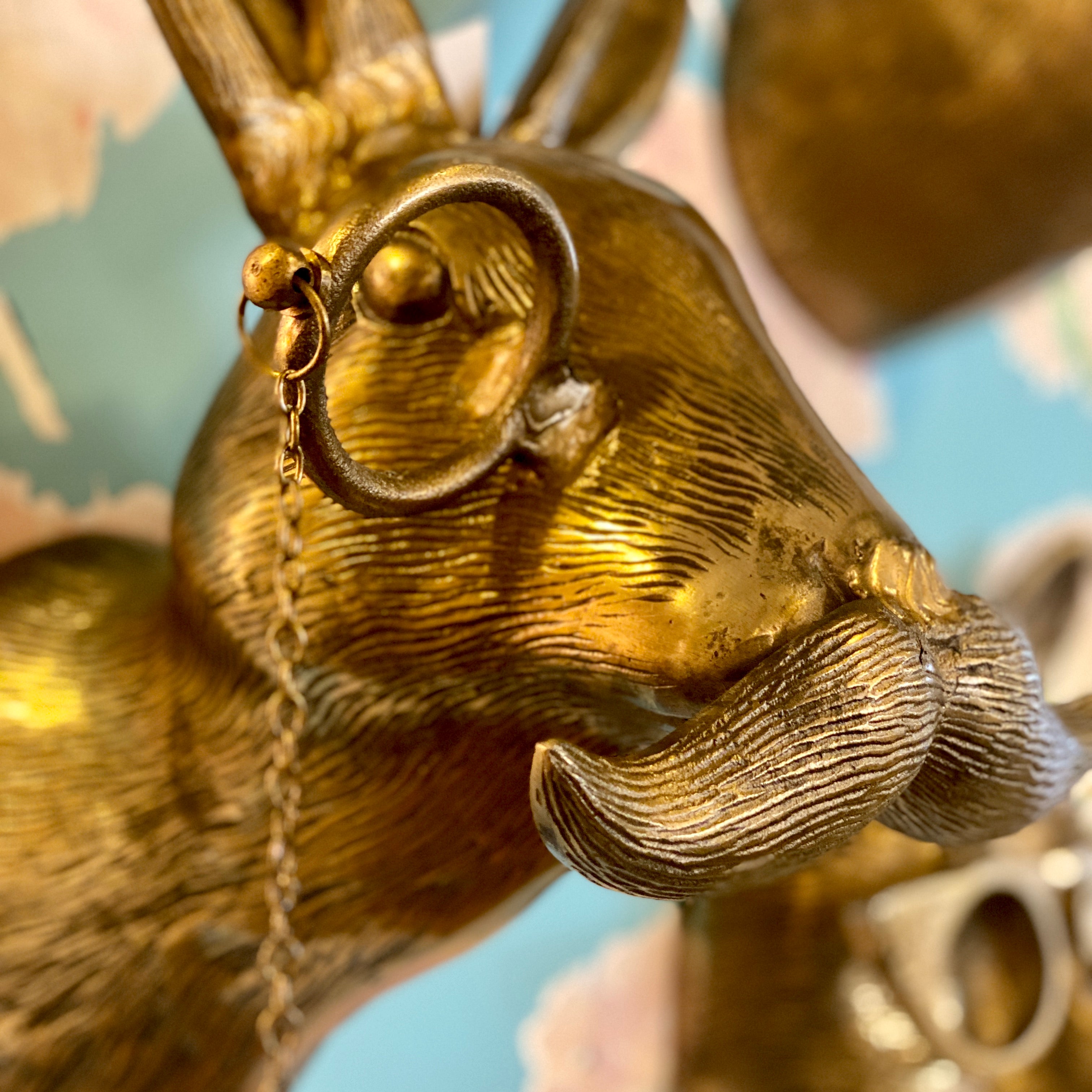 Eric the Hare: Rabbit with Monocle Wall Mount – Thomas Lee Living
